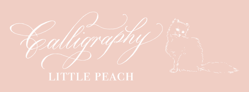 modern-flourish-application | little peach calligraphy